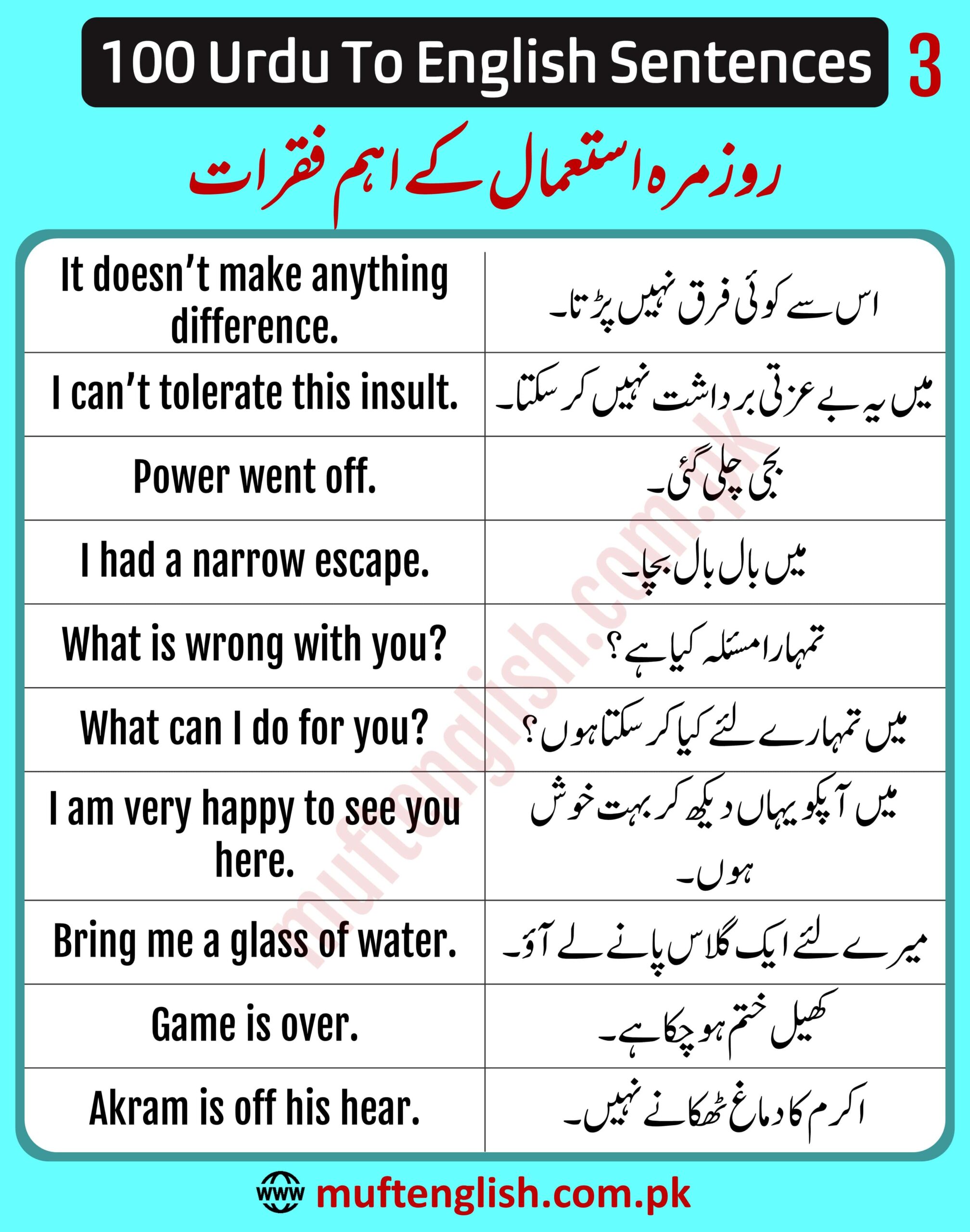 100 Urdu to English Sentences