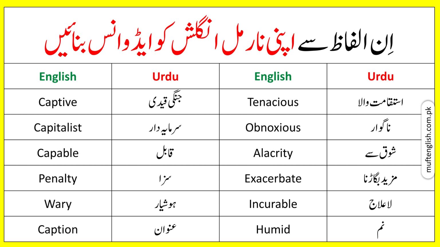 500 Forms of Verbs With Urdu Meaning
