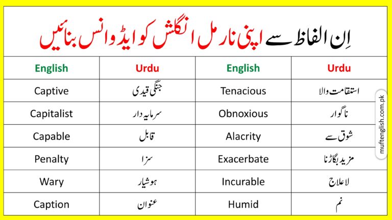 500 Forms of Verbs With Urdu Meaning